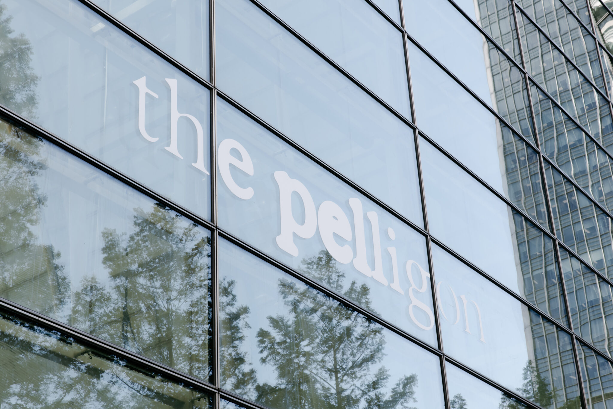 The Pelligon - Spaces & Stories