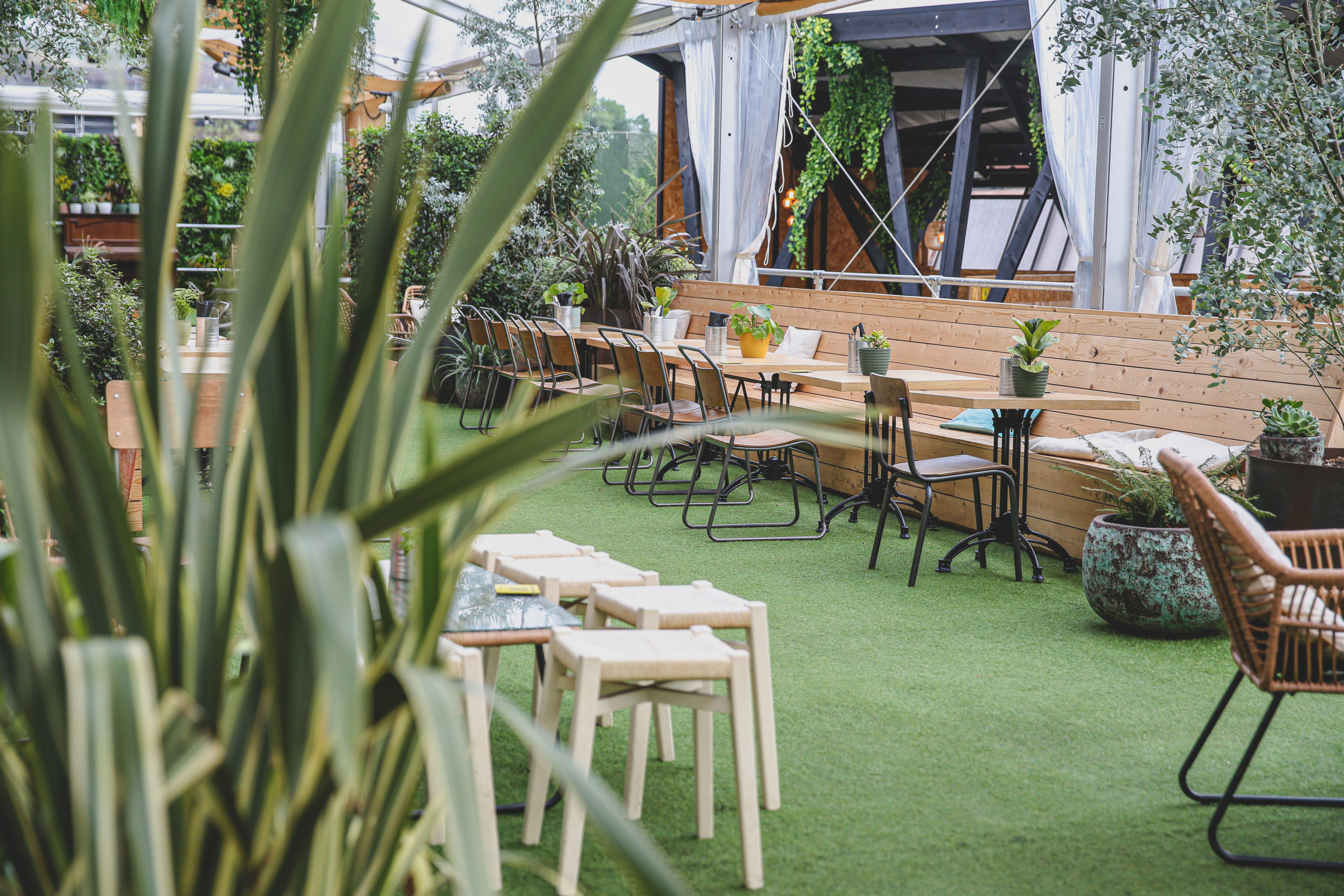 The Plant Room - Spaces & Stories