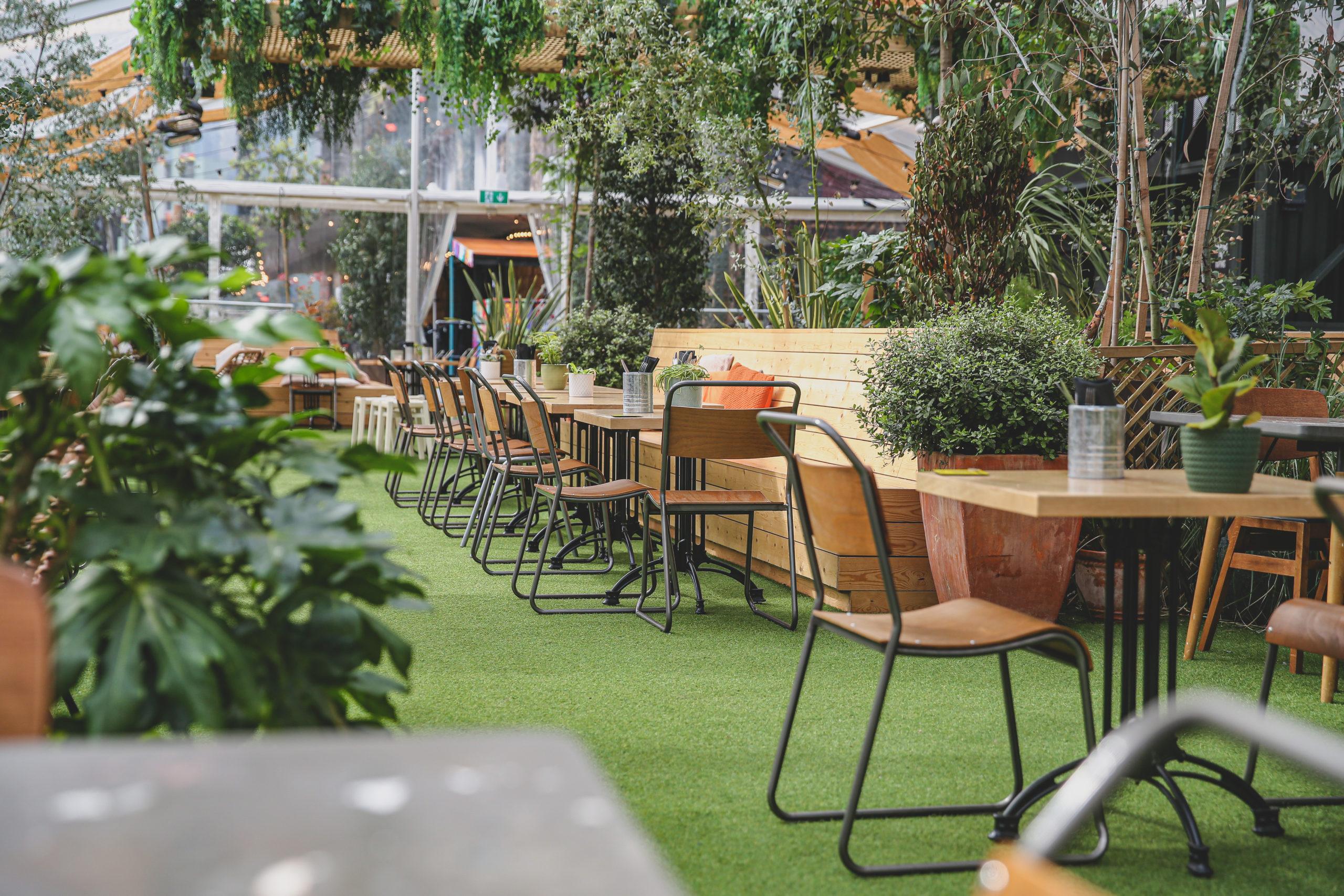 The Plant Room - Spaces & Stories