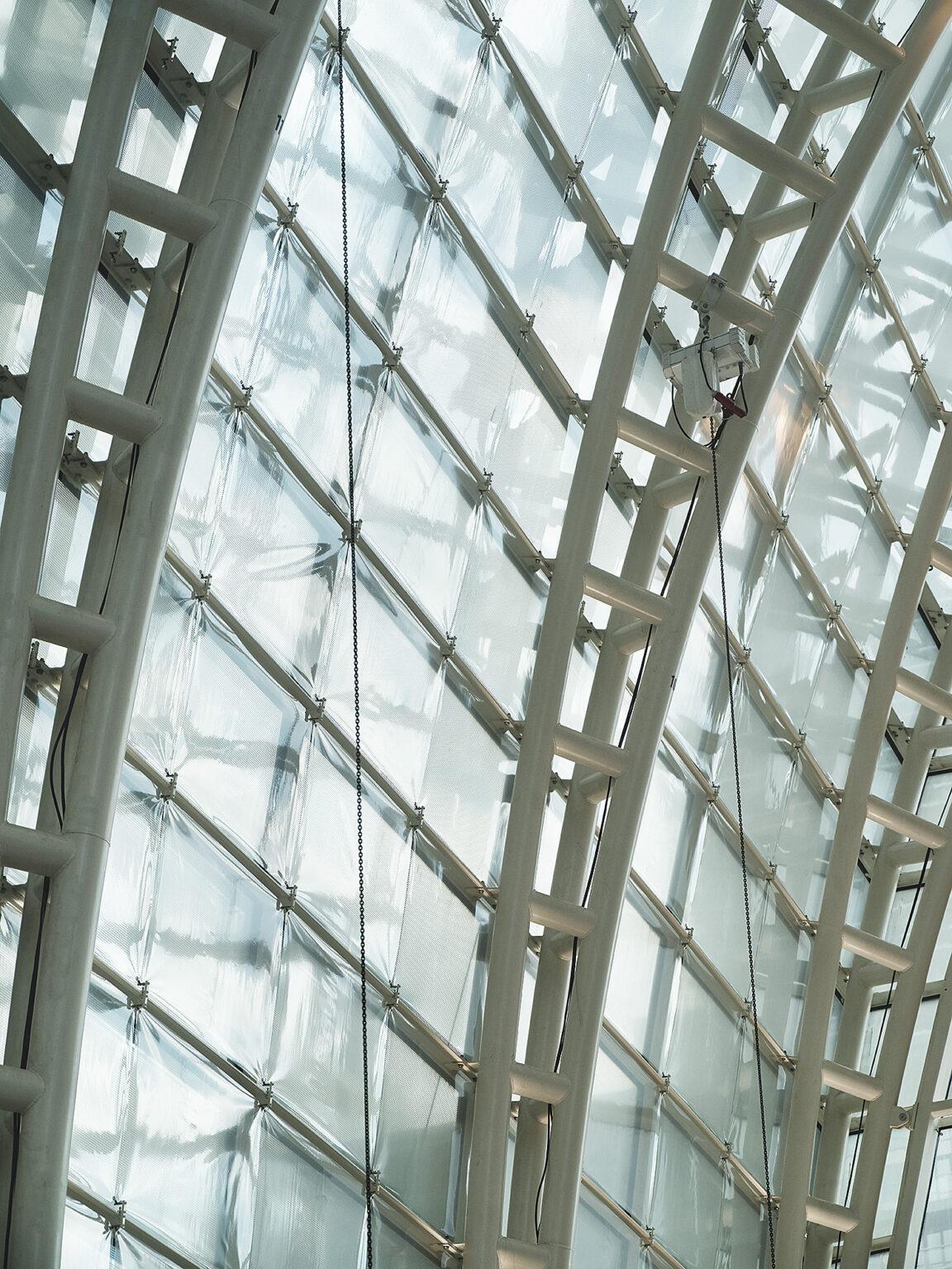 The Pelligon - Spaces & Stories