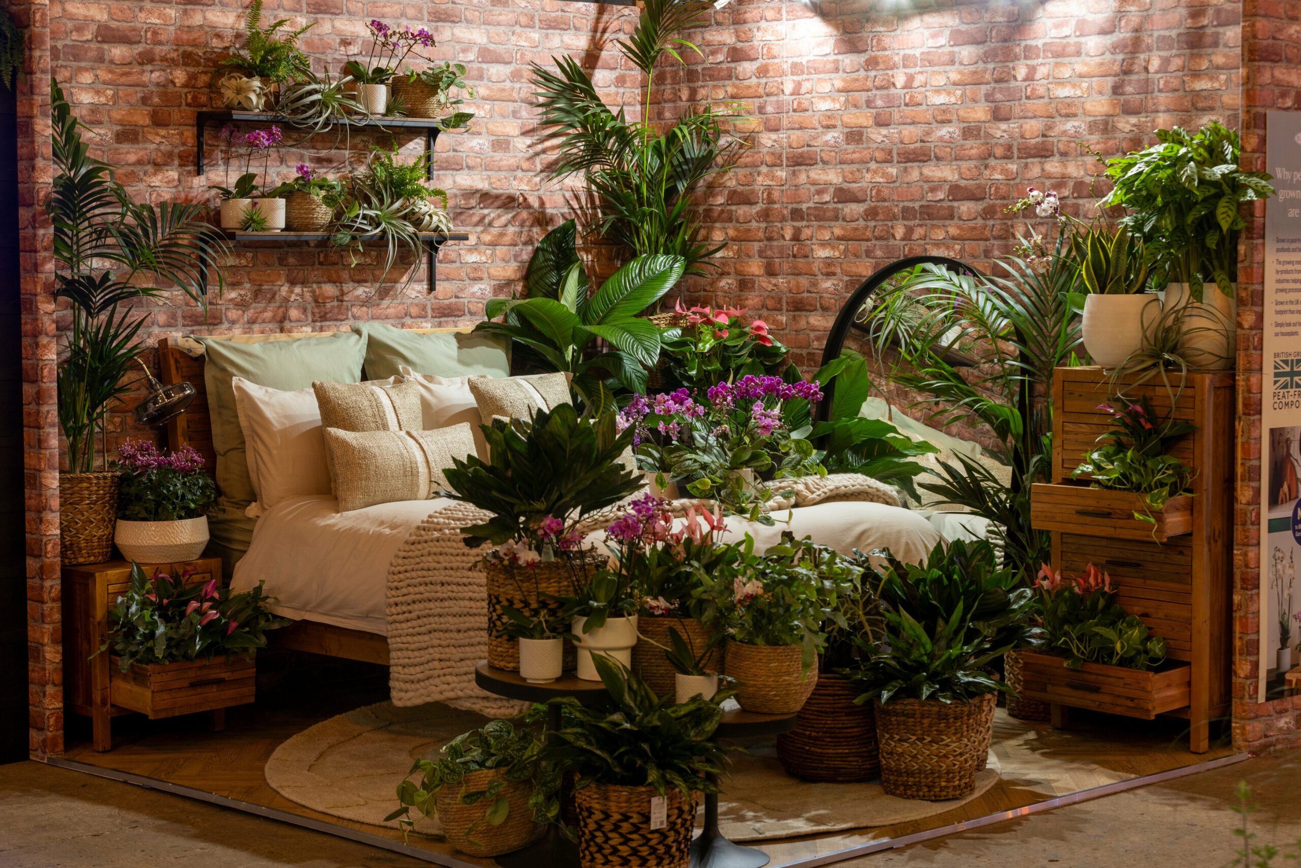 Cultivating Community: The RHS Urban Show Blooms in Manchester - Spaces ...