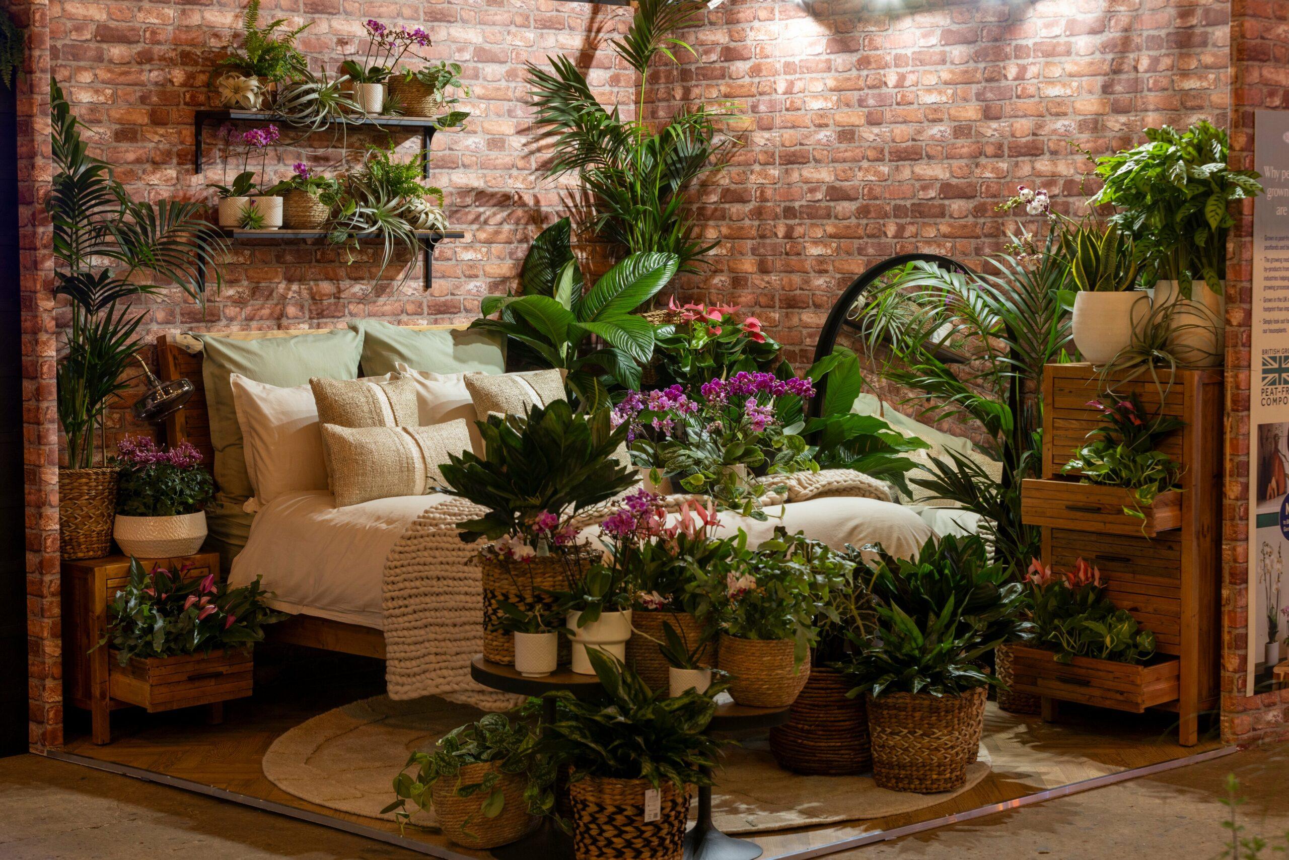 Cultivating Community: The RHS Urban Show Blooms in Manchester - Spaces ...