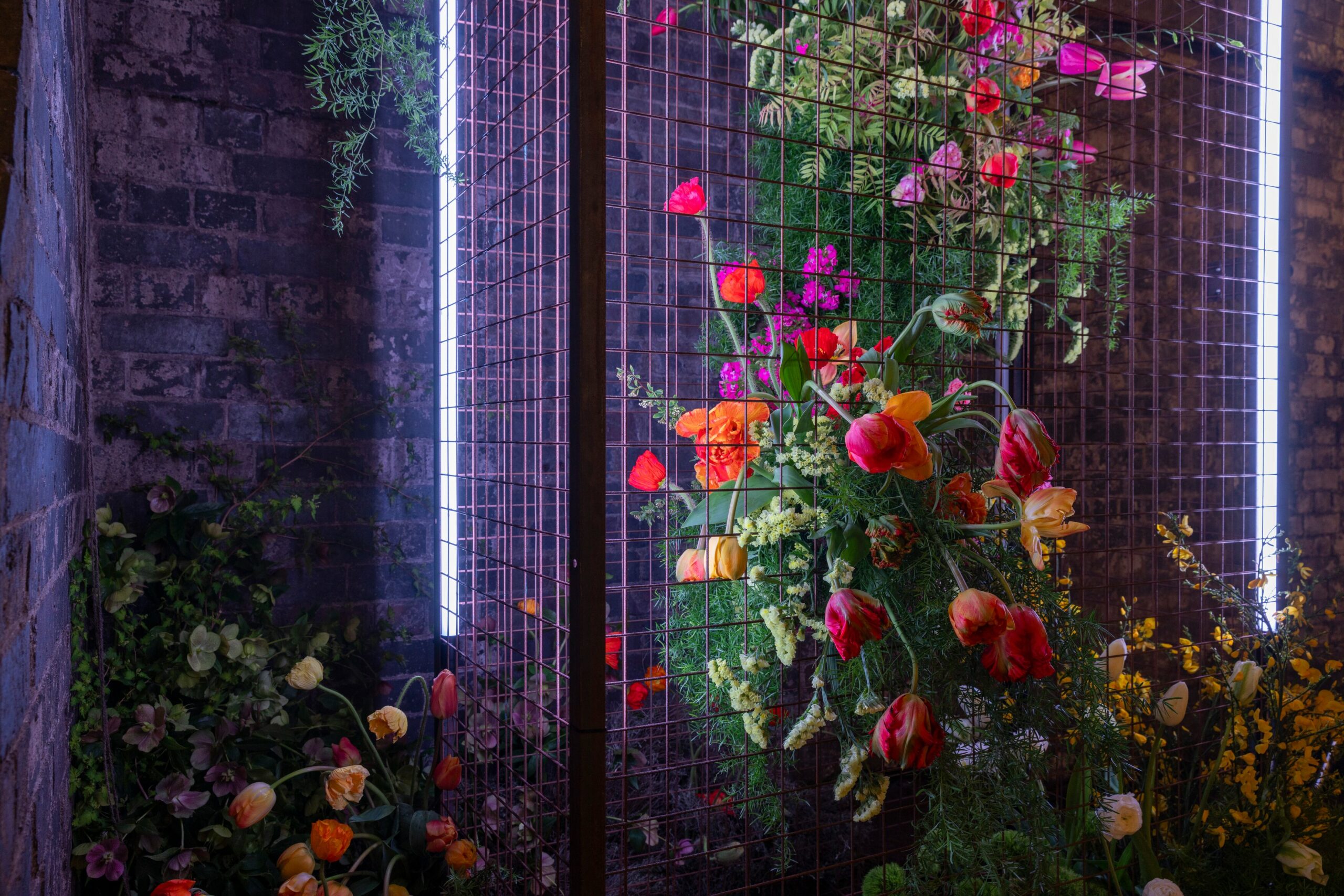 Cultivating Community: The RHS Urban Show Blooms in Manchester - Spaces ...